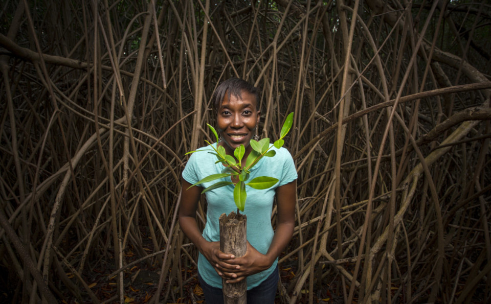 Nature's Pathways - Nature4Climate