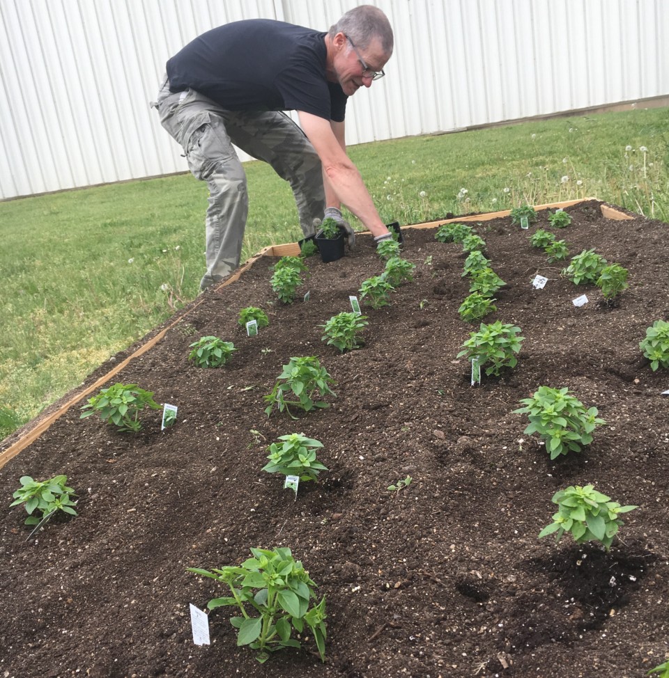 Greenprint Partners Help U.S. Communities Mitigate Climate - Nature4Climate