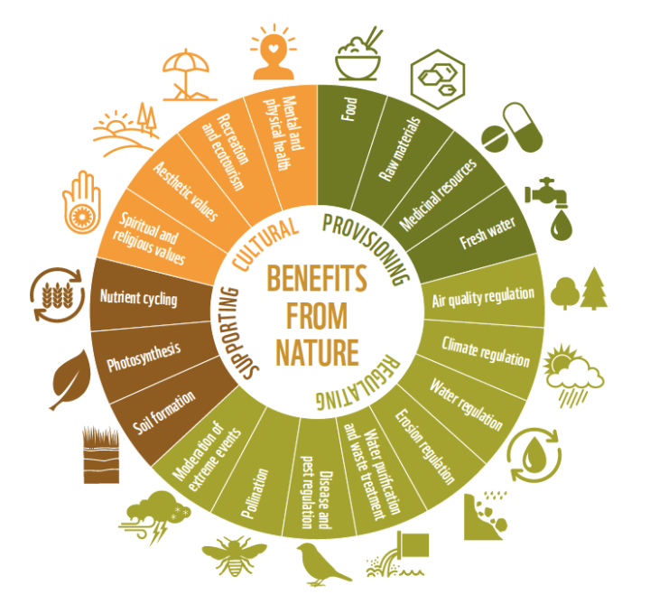WWF's Living Planet Report: Nature's Value and Situation - Nature4Climate
