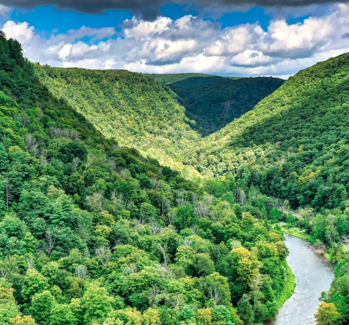 Case Studies - Nature4Climate