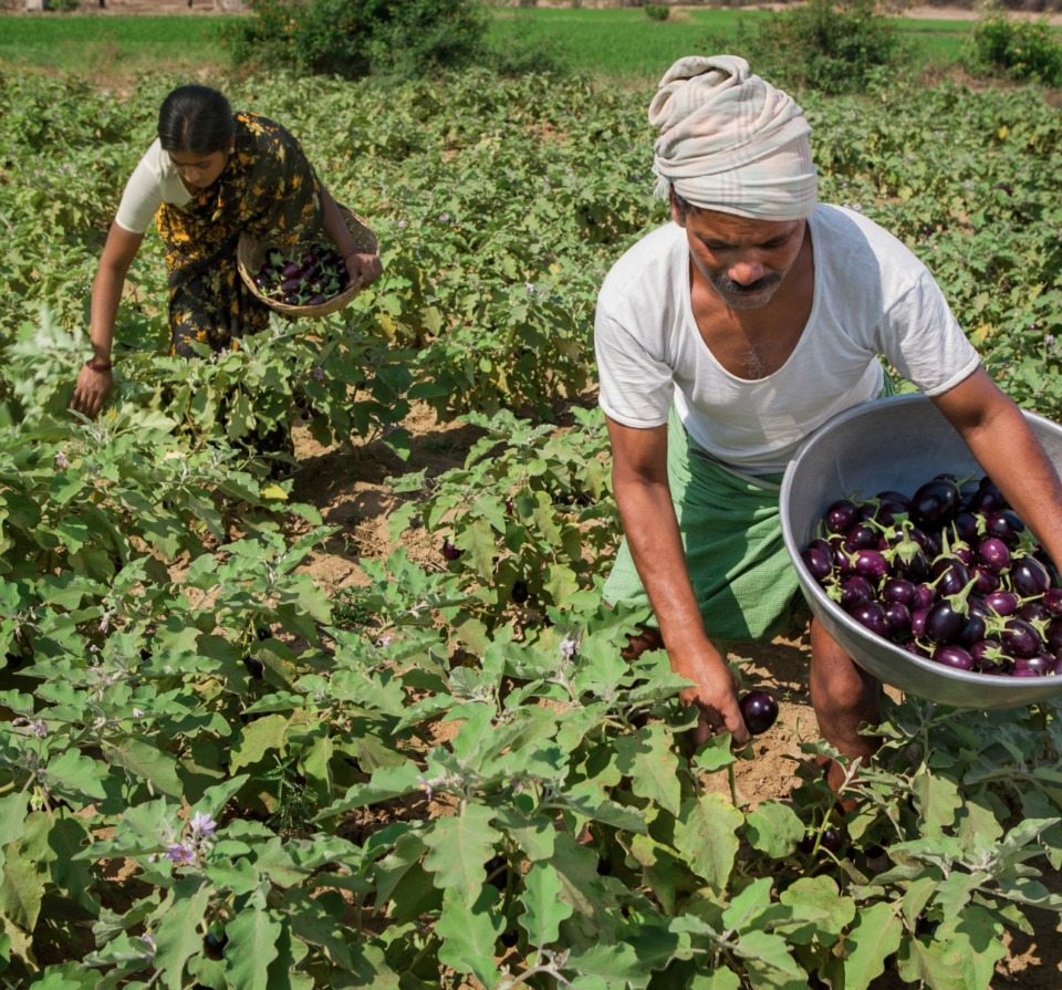 Case Studies - Nature4Climate