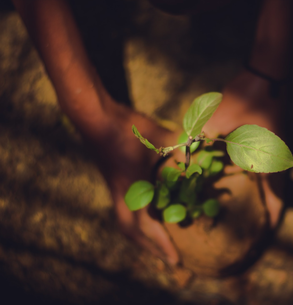 Case Studies - Nature4Climate