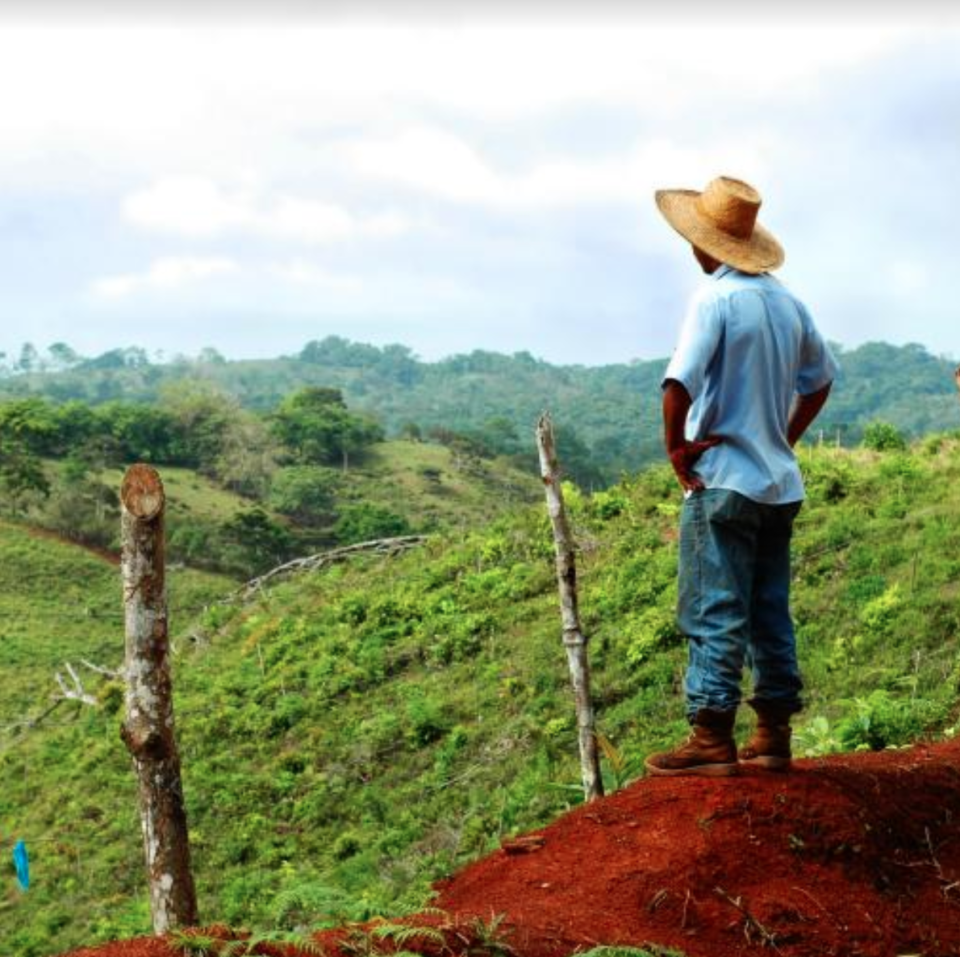 Case Studies - Nature4Climate