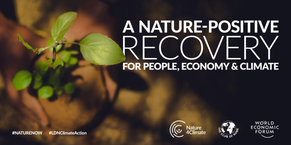 Nature at the heart of our recovery - Nature4Climate