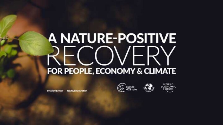 Nature at the heart of our recovery - Nature4Climate