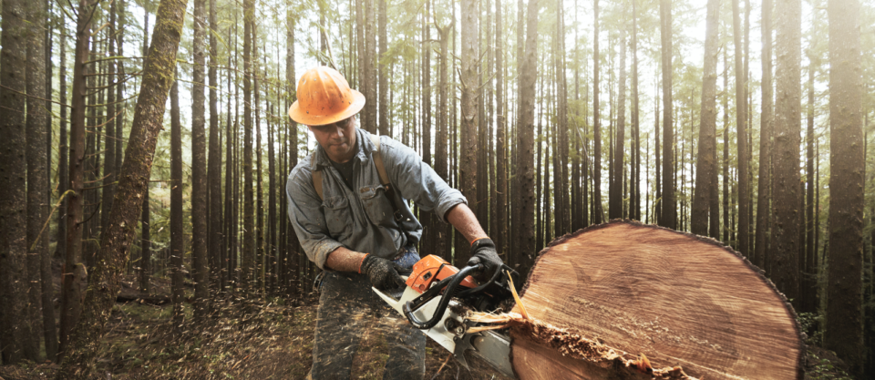 Forest Industry - Nature4Climate