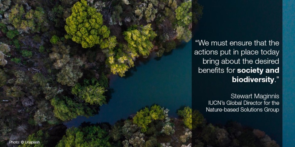 IUCN Launches Global NbS Standard - Nature4Climate