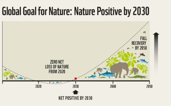 Nature+Positive - Nature4Climate