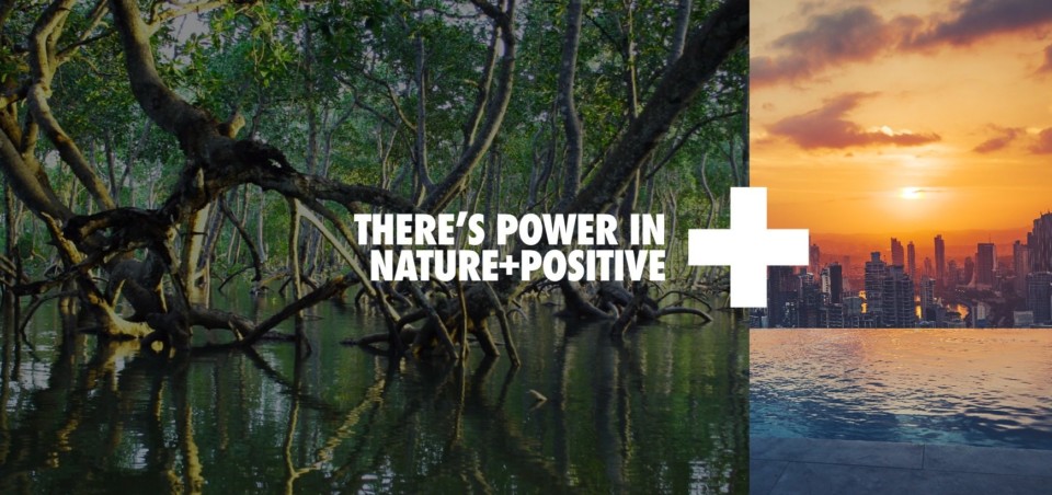 Nature+Positive - Nature4Climate