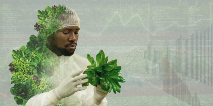 Nature Tech Market: Necessary, Emergent, Dynamic - Nature4Climate