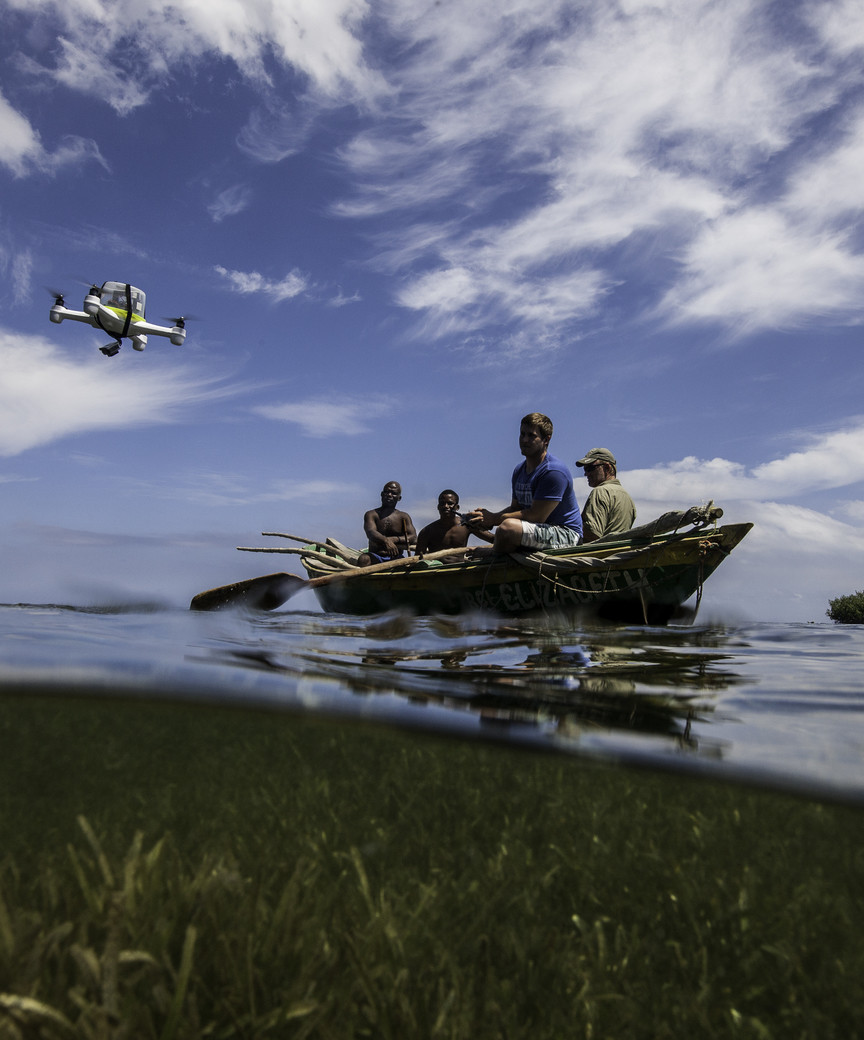 Nature4Climate - Tackling Climate Change With Nature