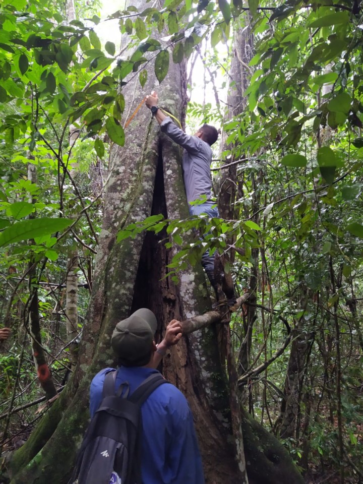 Case Studies - Nature4Climate