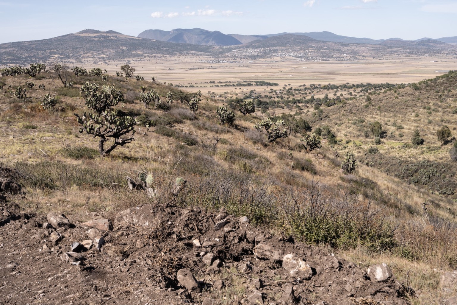 Case Studies - Nature4Climate