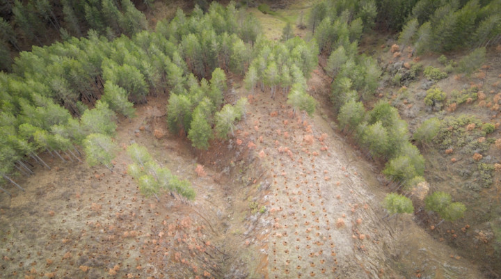 Case Studies - Nature4Climate