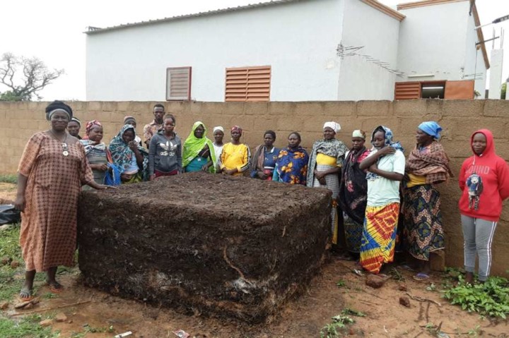 Case Studies - Nature4Climate