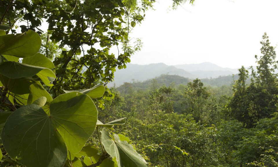 Case Studies - Nature4Climate