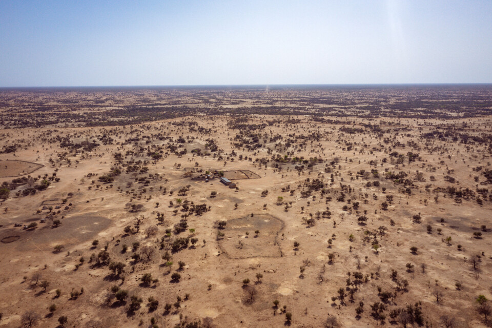 Case Studies - Nature4Climate