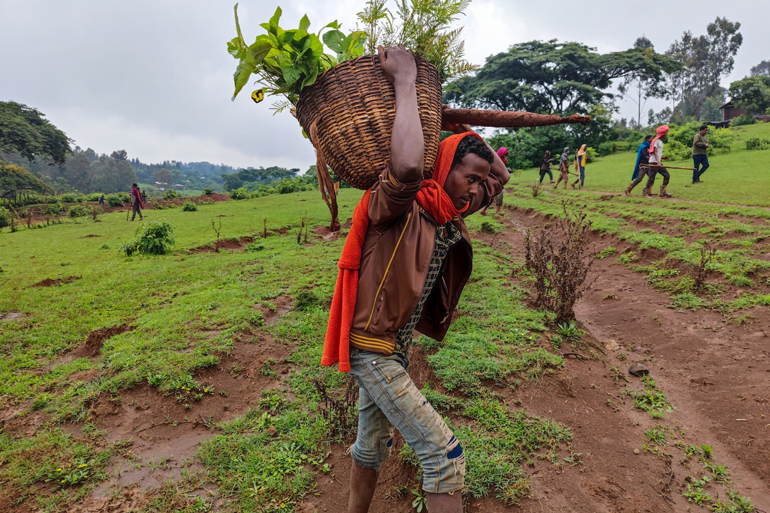 Case Studies - Nature4Climate