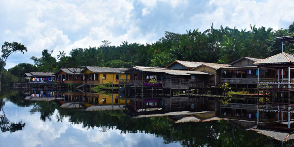 Case Studies - Nature4Climate