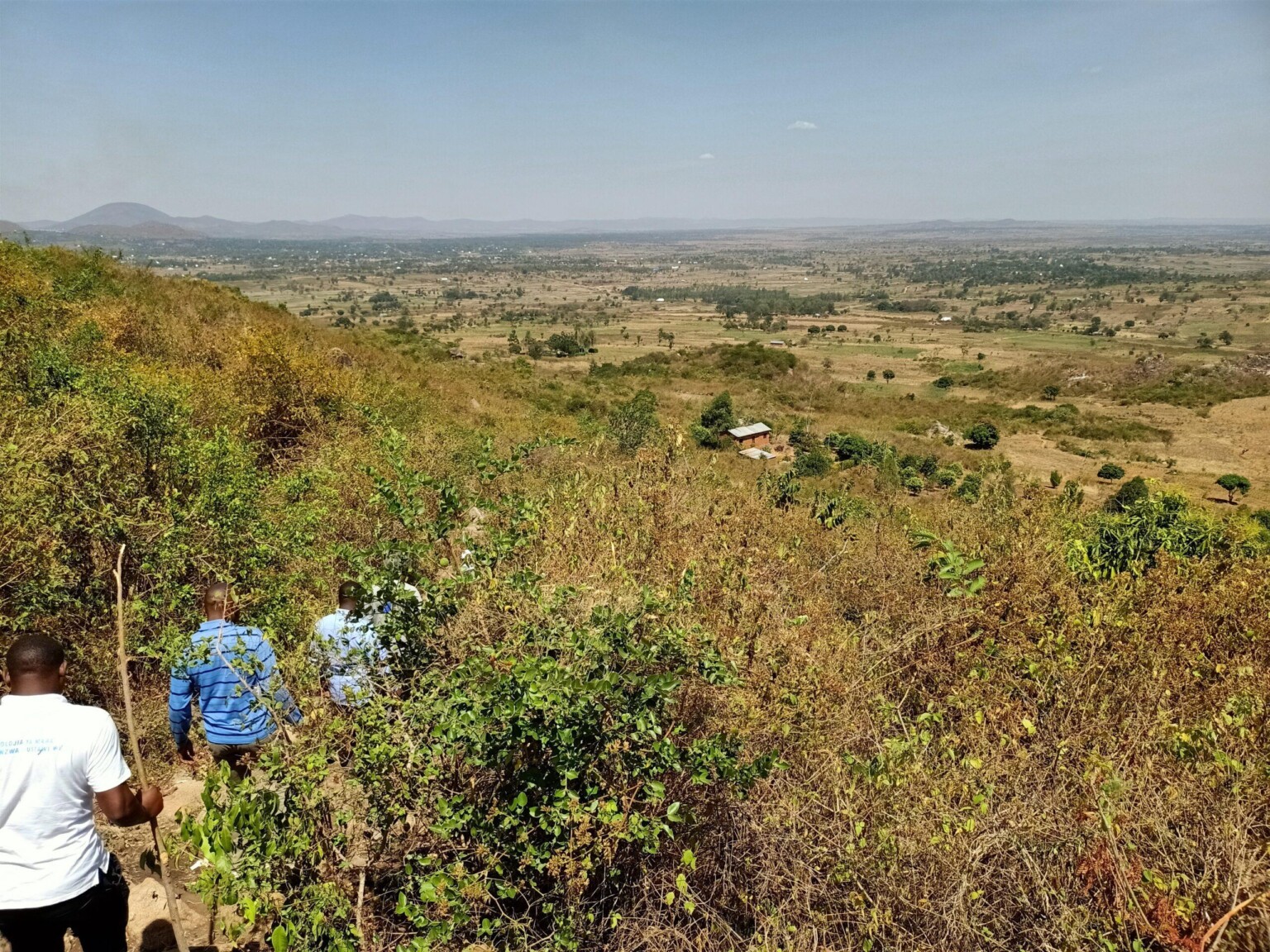 Case Studies - Nature4Climate