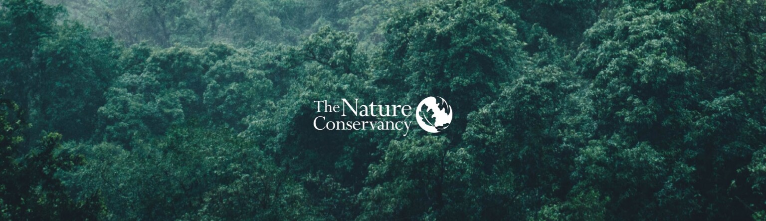 The Nature Conservancy Article 6 Explainer