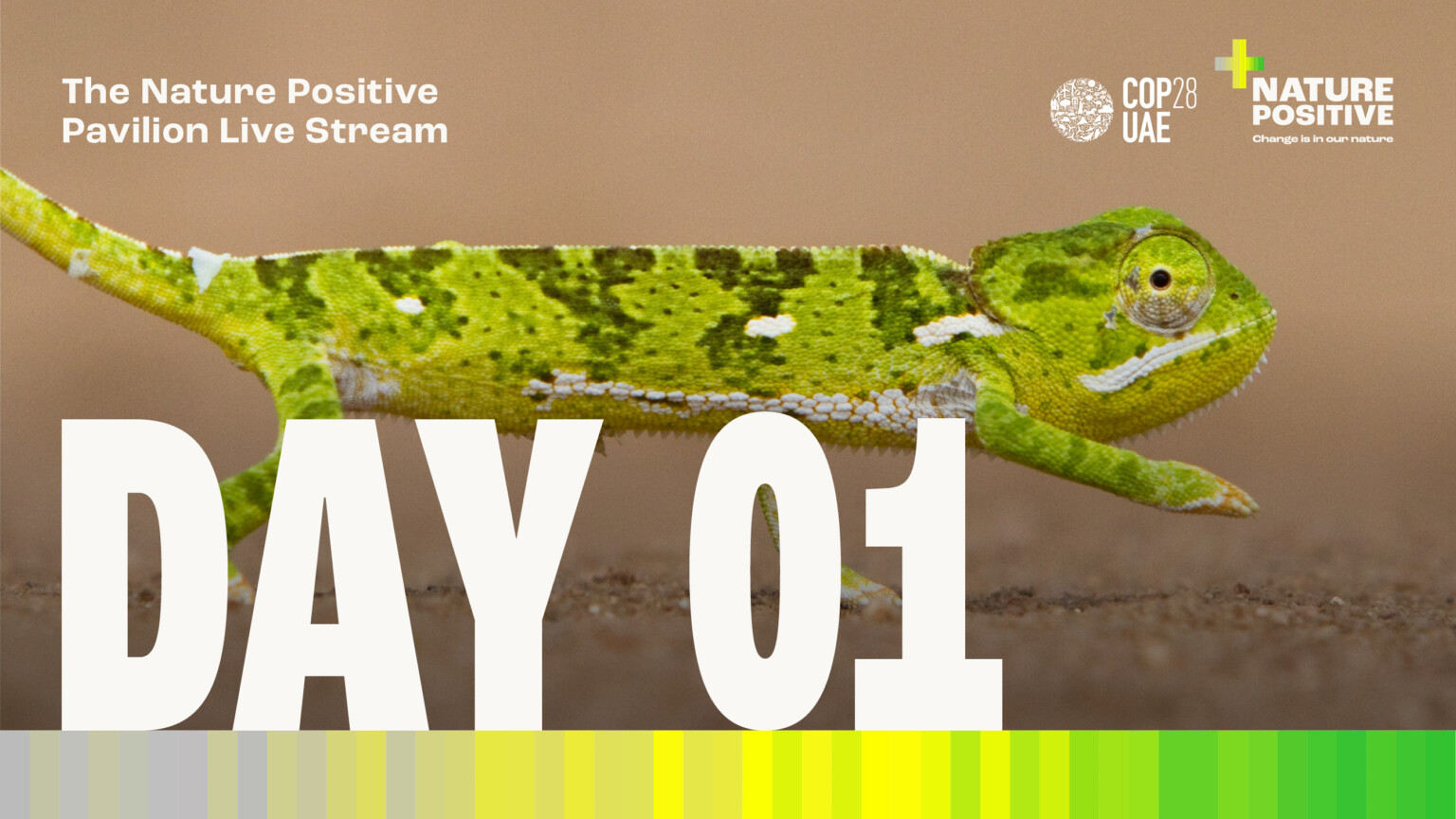 COP28: here’s what to look out for nature | Nature4Climate