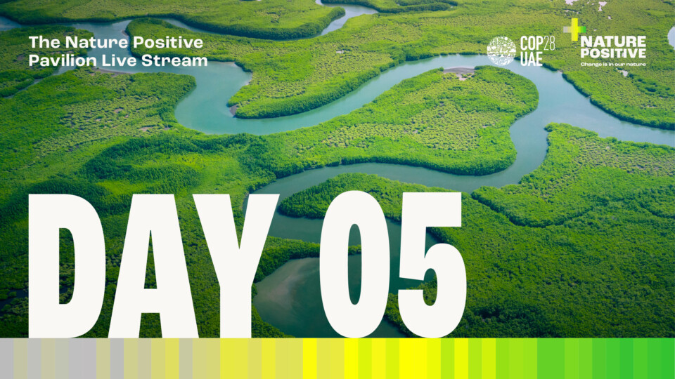 COP28 Day 4: Bridging Nature Gap - Nature4Climate