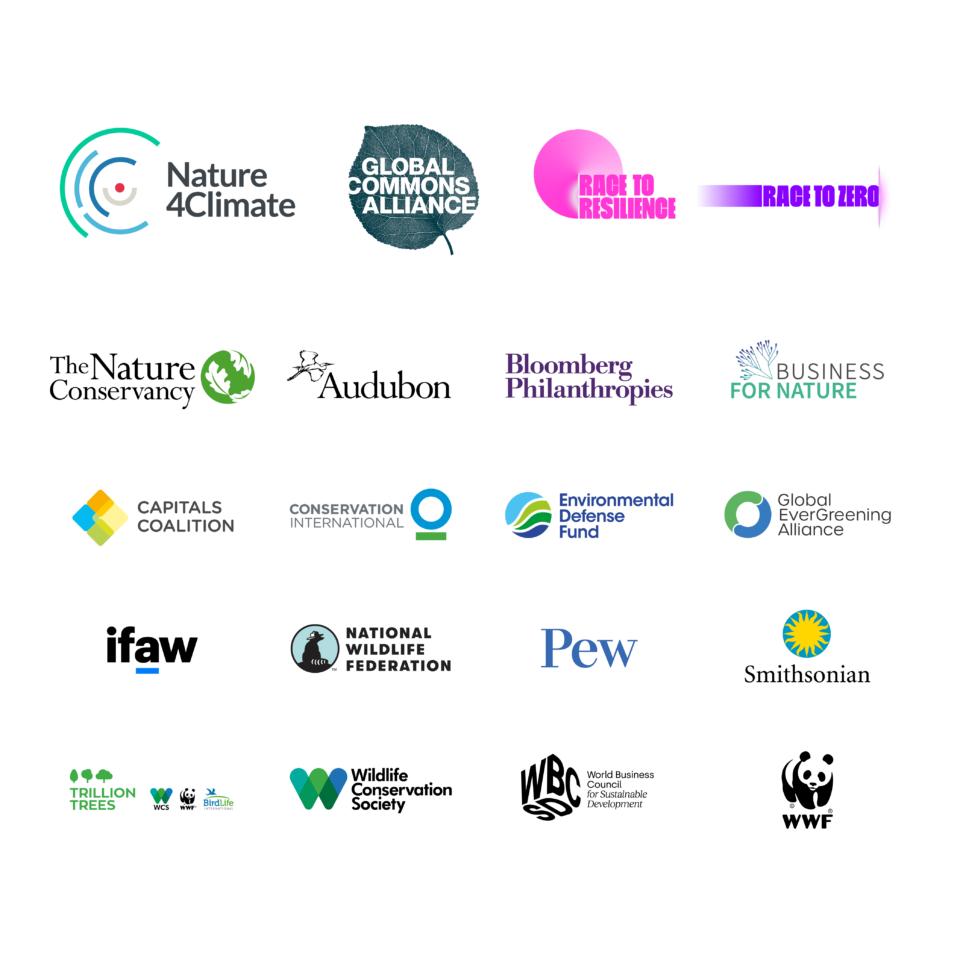 Nature Positive by 2030 | Nature4Climate