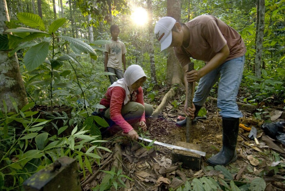 NbS Finance Up 11% but Still 37% of 2030’s Demands - Nature4Climate