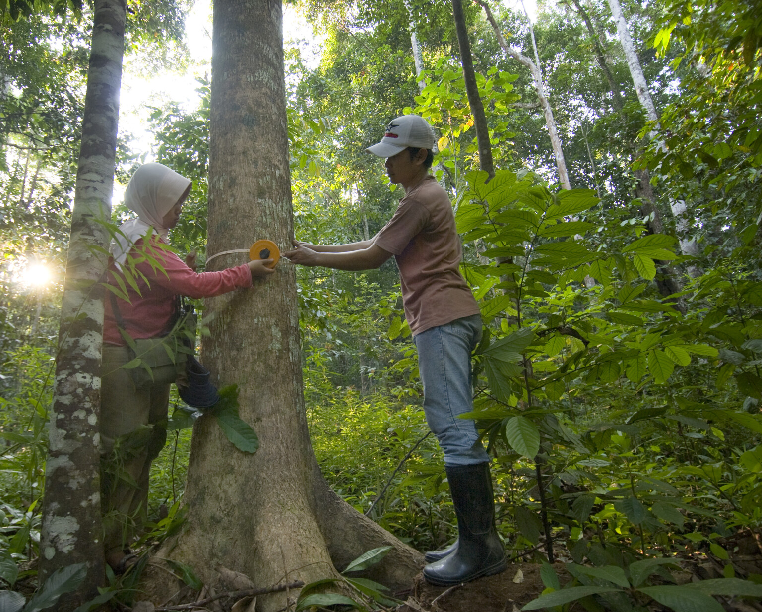 Nature4Climate - Tackling Climate Change With Nature