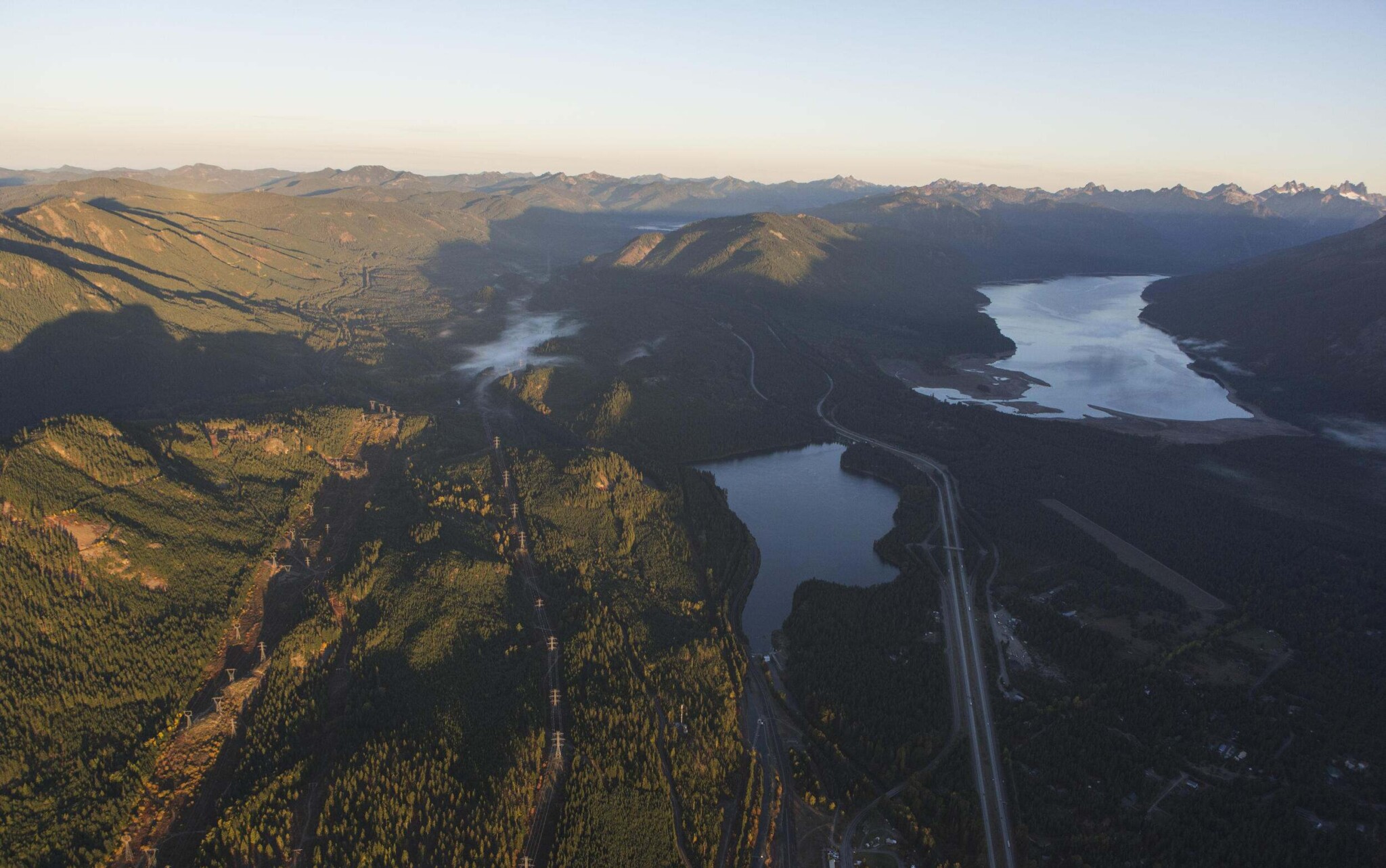 New Maps for Albedo in Tree-Planting Decisions - Nature4Climate