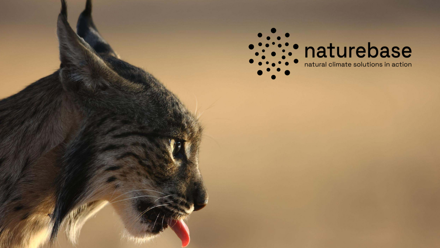 Using naturebase to inform policy and strategies for climate