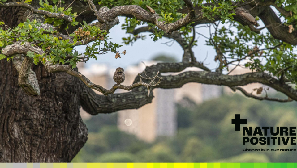 Nature4Climate | Home