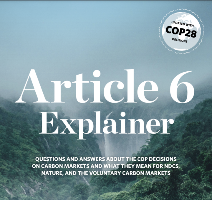 The Nature Conservancy Article 6 Explainer