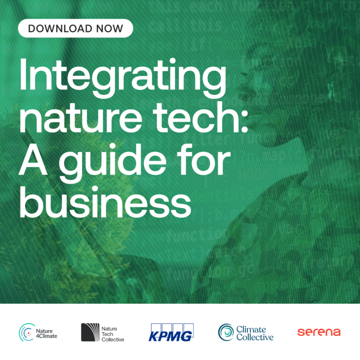 Nature tech for a nature-positive future: steps for businesses