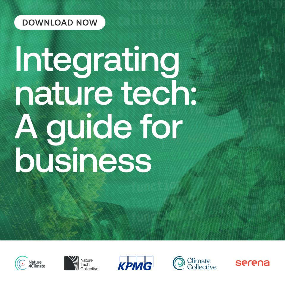 Nature tech for a nature-positive future: steps for businesses