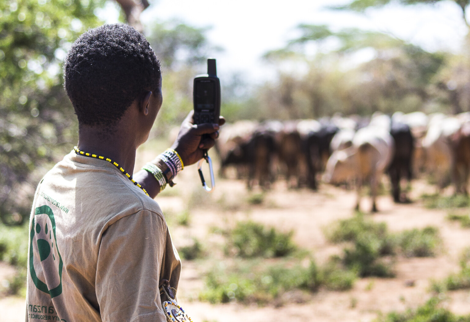 Integrating nature tech: A guide for businesses | Nature Tech 2024