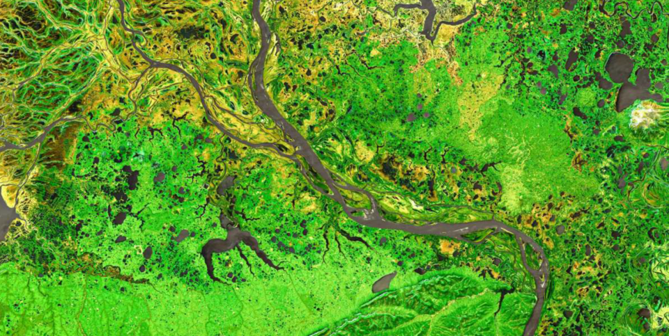 Nature tech for a nature-positive future: steps for businesses