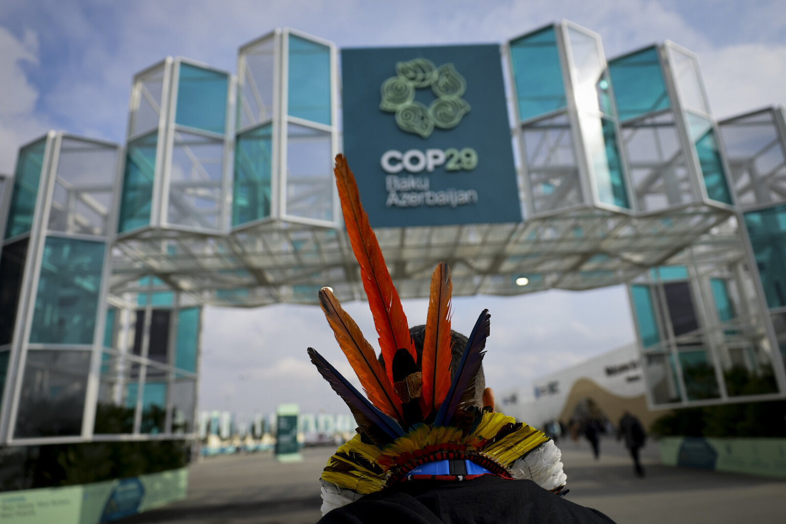 COP29 Week 1 Wrap-Up: Nature Remains on the Bench