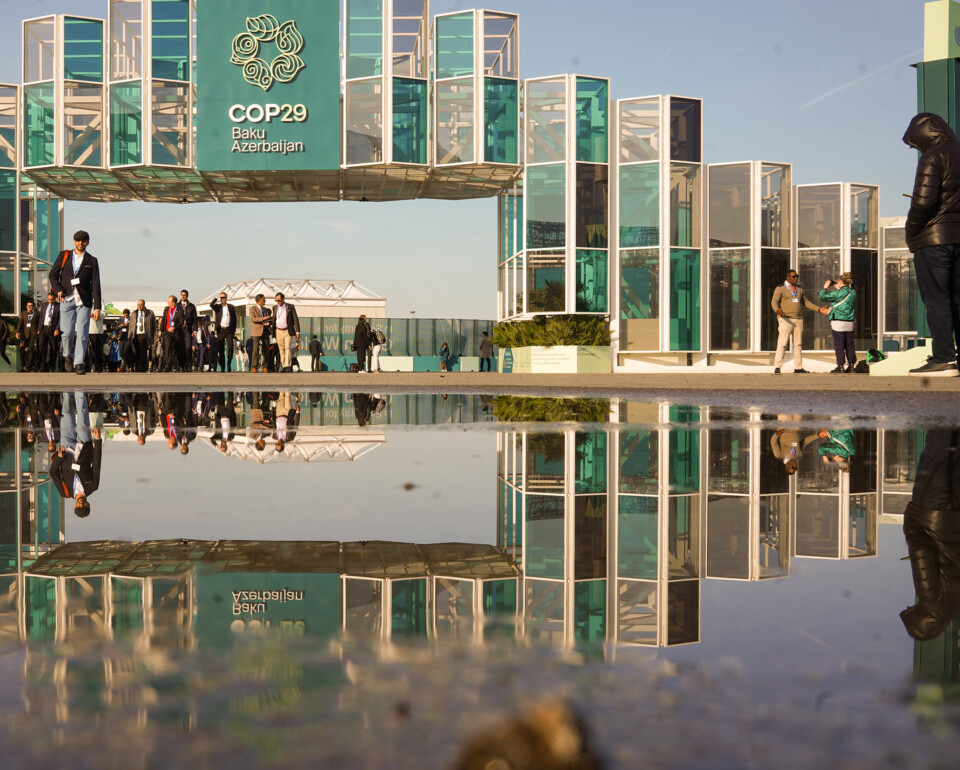 Nature4Climate - Tackling Climate Change With Nature